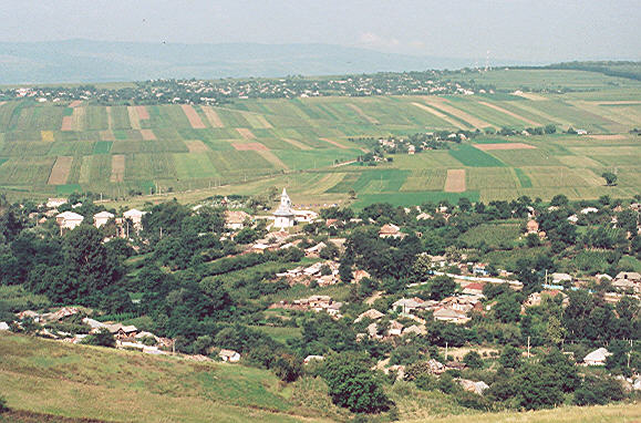 Perseide 2003 by SARM